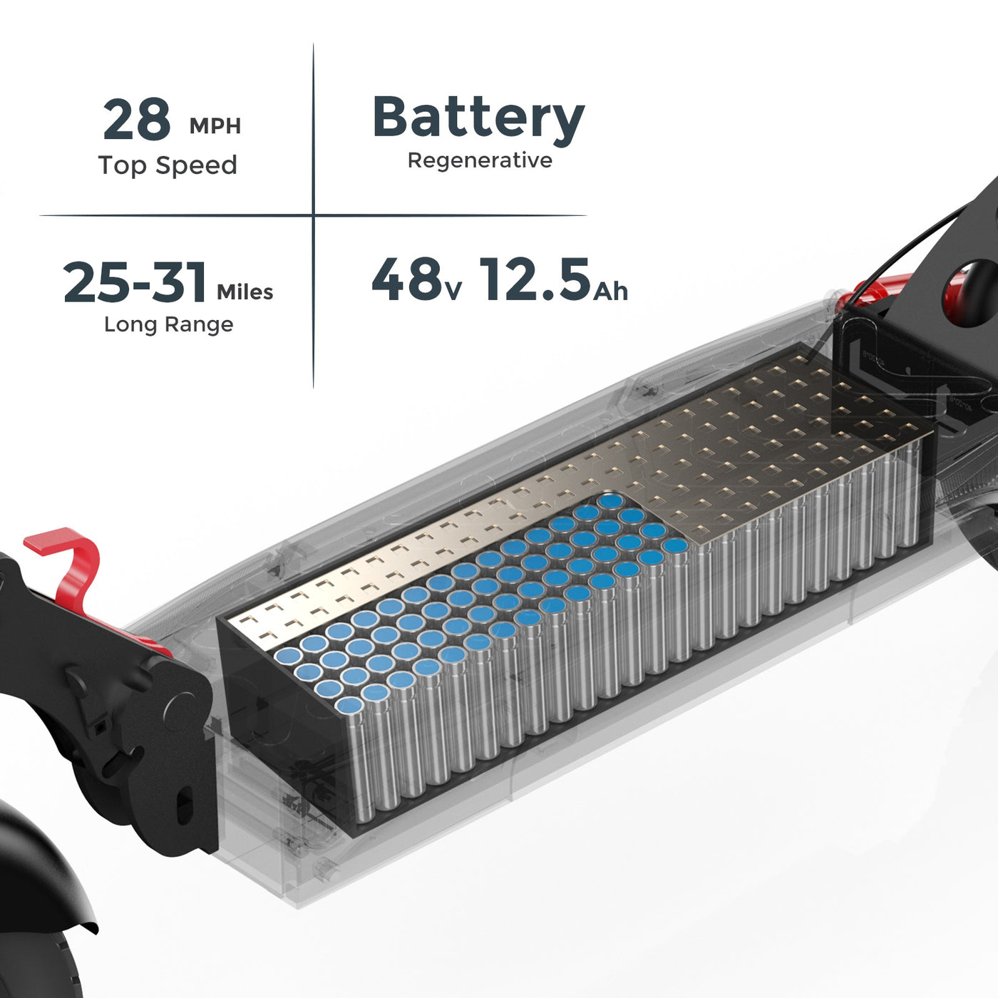 M2 Electric Scooter For Adults 1000W | Circooter